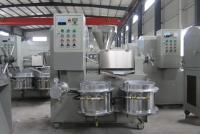 China Small Scale Peanut Screw Oil Presser Mustard Sesame Oil 100 Kg / H Automatic for sale