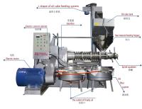 China 6YL-120 Screw Coconut Oil Press Machine 310 Kg/H With L Type Seed Feeding for sale