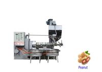 China Cooking Oil Making Machine 6YL-130a Cold Press Oil Machine for sale