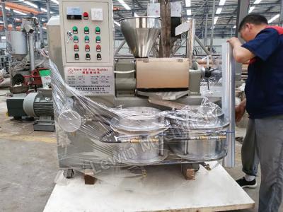 China Seed Oil Press Machine Screw Oil Press for sale