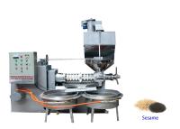China Oil Cold Press Machine Mustard Seed Press Oil Machine for sale