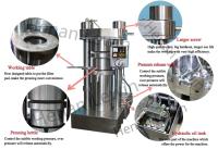 China Hydraulic Sesame Oil Press Machine Avocado Cooking Oil Expeller Nuts Oil Processing Equipment for sale
