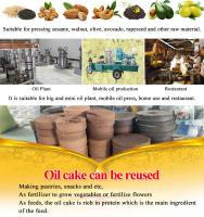 China Hydraulic Sesame Oil Press Machine Avocado Cooking Oil Expeller Nuts Oil Processing Equipment for sale