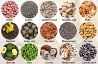 China Features Improved Oil Output Rate And 90%-95% Oil Yield For Hydraulic Oil Press Machine for sale