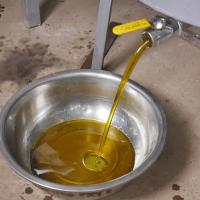 China Heavy-Duty Construction Coconut Oil Presser For Tough Environments for sale