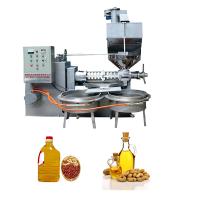 China Groundnut Cold Press Screw Oil Press Machine For Cooking Oil Extraction for sale