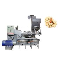 China Groundnut Cold Press Screw Oil Press Machine For Cooking Oil Extraction for sale