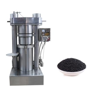 China Easy operation hydraulic oil process machine for seeds small capacity for sale