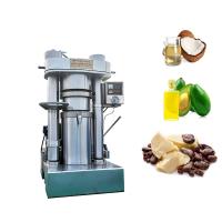 China 4kg/Batch SS Avocado Cold Press Expeller Machine for sale