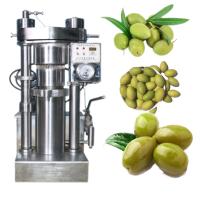 China Easy Operation Industrial Oil Press Machine Olive Oil Processing Machine for sale