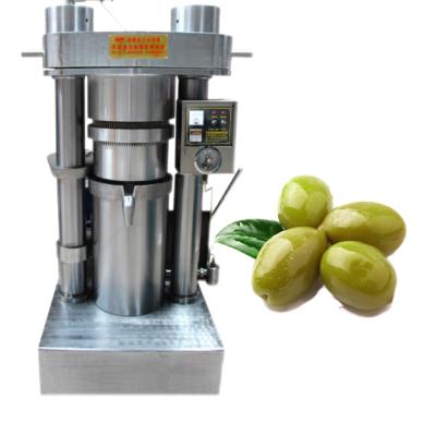 China High Pressure 60Mpa Industrial Avocado Olive Oil Press Machine With 1600 Kg Weight for sale