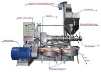 China manufacture price automatic screw oil press machine for rapeseed for sale