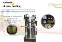 China High Capacity Small Oil Press Machine , Olive Oil Press Machine With 60Mpa for sale
