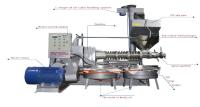 China Cold Press Peanut Screw Oil Press Machine Oil Presser With Oil Filter System for sale