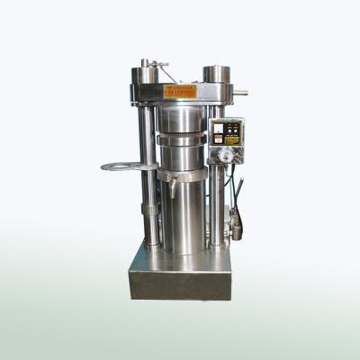 China Automatic Cold Press Oil Extractor Small Oil Extraction Machine 670 * 950 * 1460mm for sale
