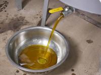 China Alloy Steel Peanut Oil Press Machine , Screw Cooking Oil Pressing Machine Strong Performance for sale