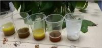China Mini Capacity Home Oil Press Machine Oil Making Machine For Plant Seeds for sale