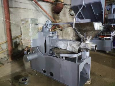 China Factory direct sales new designed easy operation perilla seed spiral oil making machine for sale