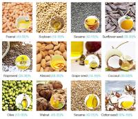 China Cold Press Oil Extraction Machine For Castor Groundnut Sunflower Seed for sale