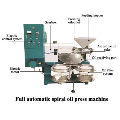 China Cold Press Automatic Peanut Seed Oil Extraction Machine For Edible Oil for sale
