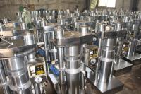 China Alloy Steel Hydraulic Oil Extractor / Aovcado Oil Pressing Device 6YY-230A Model for sale