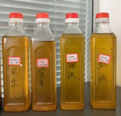 China Simple operation large capacity oil presser with oil cake feeding system for sale