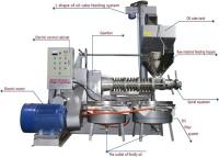China Coconut Oil Making Industrial Oil Press Machine 400 - 750 Kg / H Capacity for sale