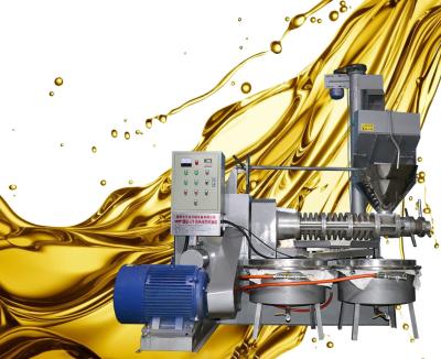 China Commercial Screw Oil Press Machine Oil Press Separator Alloy Material for sale