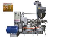 China Durable Oil Press Extractor / Cold Press Oil Expeller Machine High Oil Rate for sale