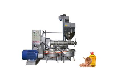 China Full Automatic Large Capacity Nut Oil Press Machines Cold Press 380v for sale