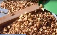 China 2.2kw Power Peanut Shelling Machine Linear Vibrating Screen 220kg Weight for sale