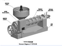 China High Capacity Soybean Cold Press Oil Expeller Machine 1800kg Weight for sale