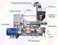 China Screw Industrial Oil Press Machine 6YL-180 For Sunflower Seed Expeller for sale