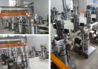 China Hydraulic Industrial Oil Press Machine Cold Press Walnut Oil Machine Simple Operation for sale