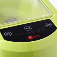 China Food Grade Home Oil Press Machine Small Oil Expeller Machine 6.5kg Weight for sale