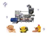 China Automatic Screw Oil Press Machine Olive Oil Extraction Machine Cold And Hot Press for sale
