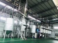 China Cold Press 30kw 600kg/H Sesame Oil Extraction Machine for sale