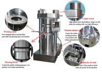 China 250mm Oil Cake 11kg/Batch Cooking Oil Pressing Machine for sale