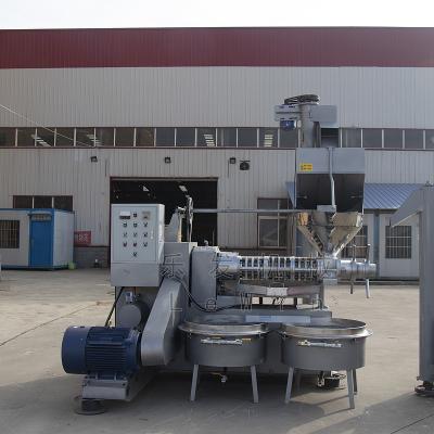 China 300-600 KG/H High Oil Outlet Screw Oil Press Machine For Mustard for sale