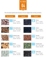China SS304 Auto Home Oil Press Machine Healtht Oil Cooking Machine for sale