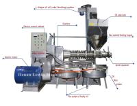 China 15kw Sunflower Oil Press Equipped Vaccum Filter System Coconut Oil Press Machine for sale