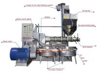 China Automatic Home Black Seed Screw Oil Press Machine 2650 * 1900 * 2700mm for sale