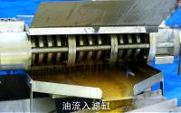 China Palm Kernel Mustard Oil Press Extraction Machine Automatic Spiral For Cold Oil for sale