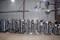 China Avocado Oil Expeller 60MPA Palm Oil Press 250mm Alloy Material for sale