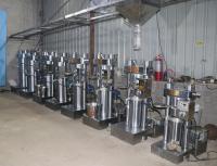 China Cold Hydraulic 60Mpa Oil Press Machine 220V For Rice Bran Oil for sale