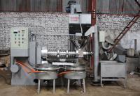 China Sunflower 15KW Oil Press Cold Machines 300kg / H Automatic With Filter System for sale