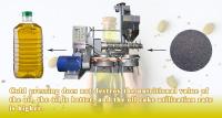 China 30 Kw Corn Oil Press Making Machine 500 Kg / H Vegetable Oil Automatic Spiral for sale