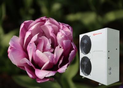 China 18KW 21KW Air Source Heat Pump Space Heating System For Greenhouse Flower Farming Rose Planting for sale