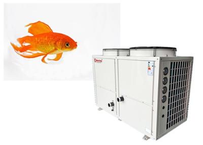 China Meeting Constant Temperature Electric Air Source Heat Pump Control System For Environment - Friendly Fish Farms for sale