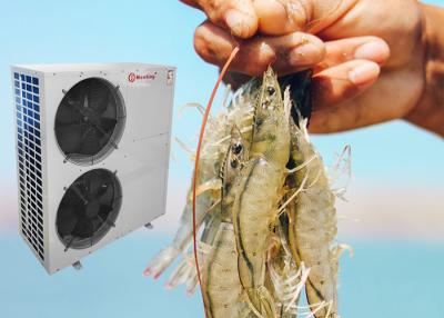 China 28-32degree water temperature swimming pool heat pump water heater for shrimp farm for sale